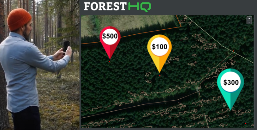 Valuation - Treemetrics